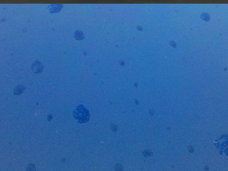 Water Spotting - The Auto Paint Depot